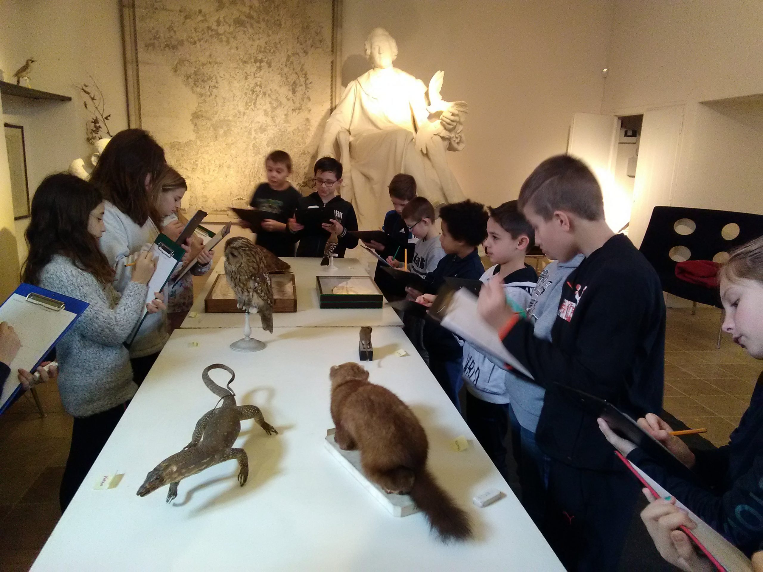 Musée | Musée et Parc Buffon